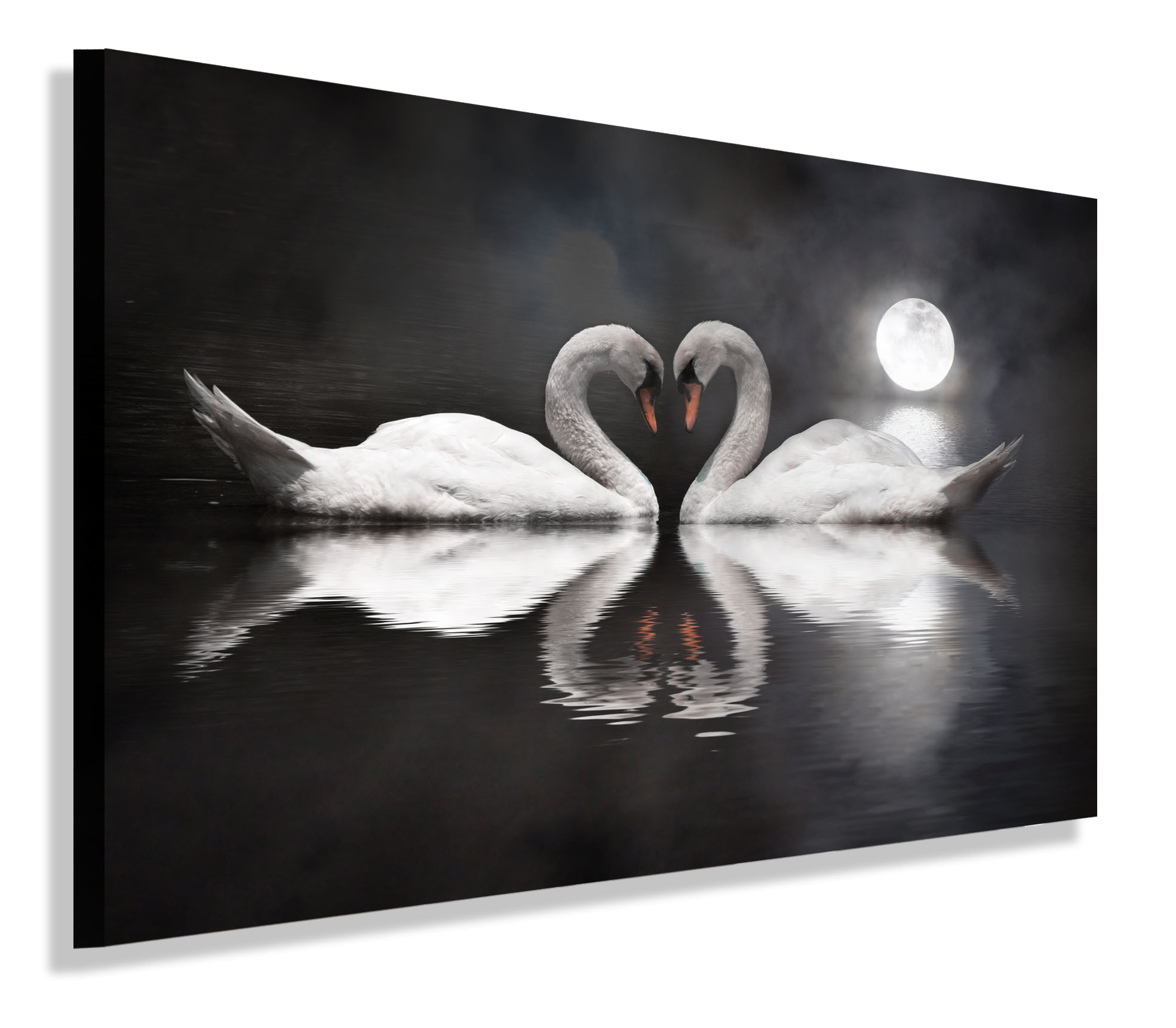 OBRAZ DWA ŁABĘDZIE KSIĘŻYC OBRAZY CANVAS 70x50 - porównaj ceny - Allegro.pl