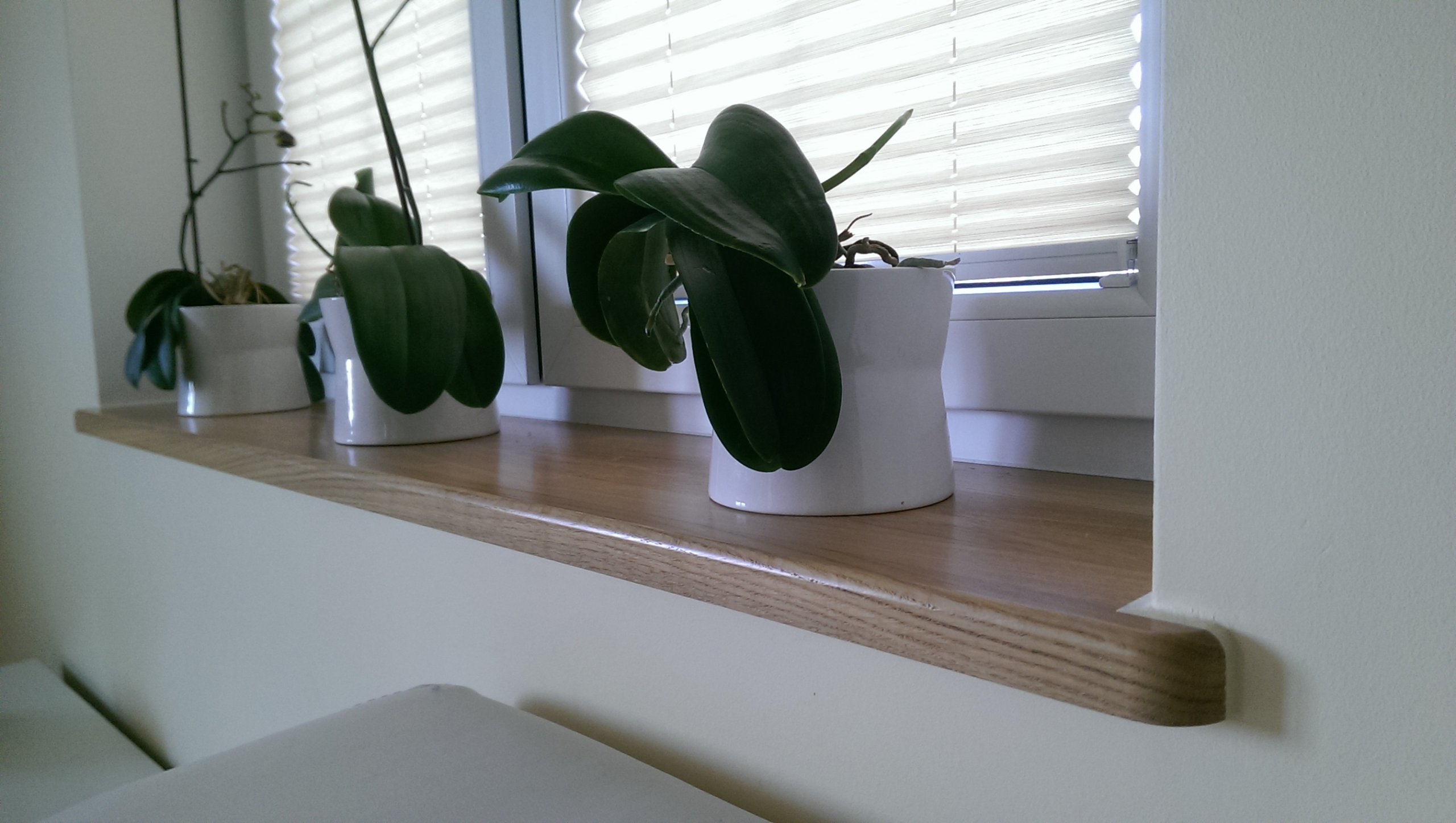 Parapet DĘBOWY gr. 3 cm LITY parapety NA WYMIAR !! - 7717849985 ...