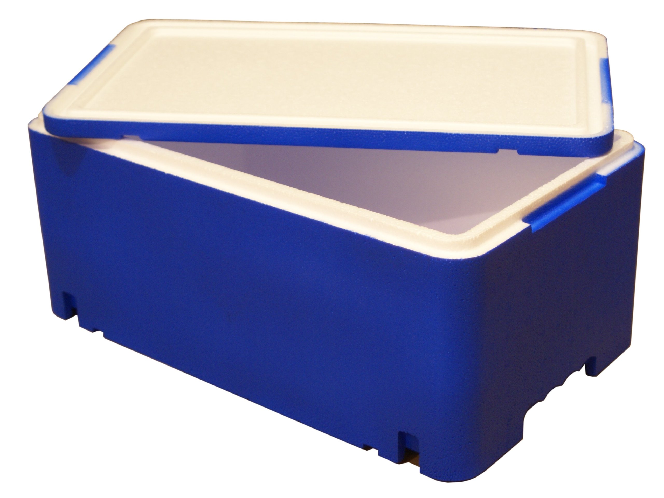 Niebieski FB213 Termobox Fischbox 500x300x200 - 7566646740 - oficjalne ...