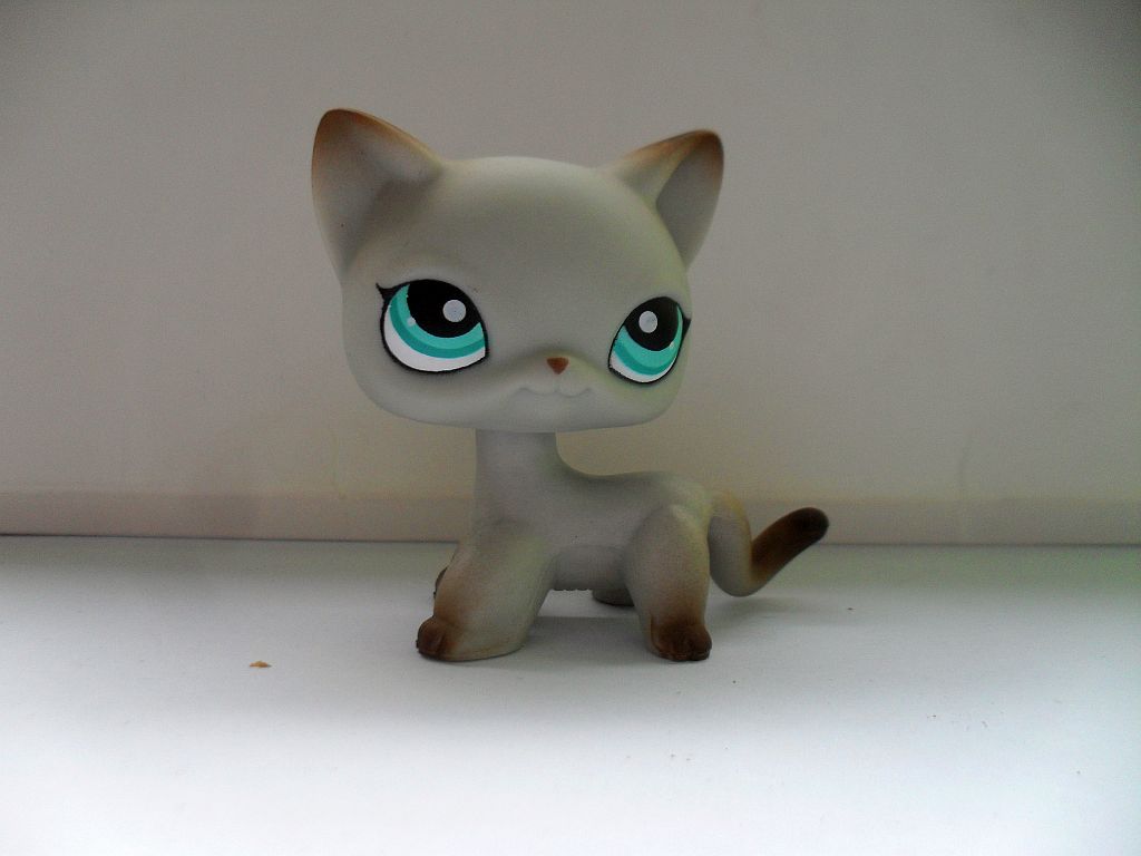 LITTLEST PET SHOP LPS 391 SHORTHAIR KOT EGIPSKI - 7163648324 ...