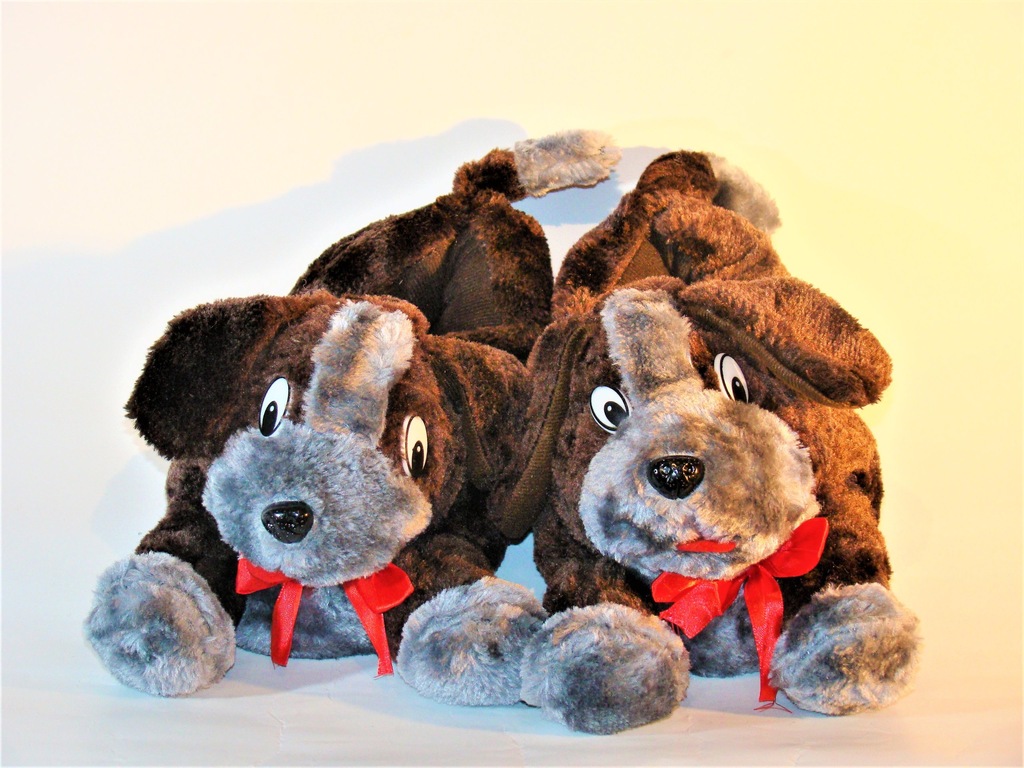 KAPCIE psy 38 39 pluszaki zwierzaki maskotki pies - 7019987632 ...