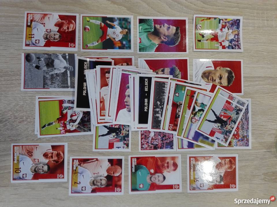 Naklejki i karty DUMNI Z NASZYCH biedronka - 7382986073 - oficjalne ...