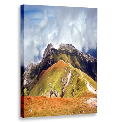 OBRAZ PIONOWY TATRY GIEWONT 80x120 W PIONIE (D485-80x120) • Cena ...